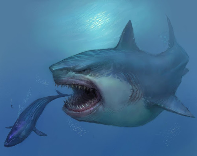 Hog Heaven- The Art of Todd Harris: Meg- The Megalodon